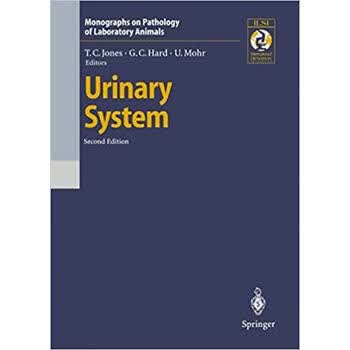 Urinary System