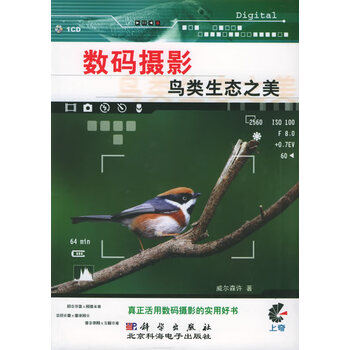 数码摄影:鸟类生态之美