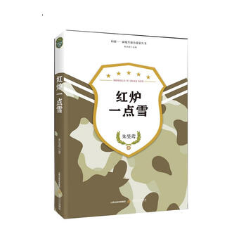 红炉一点雪 小说 朱旻鸢著 北岳文艺出版社