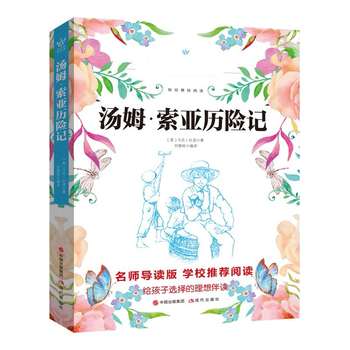汤姆·索亚历险记语文班级丛书 青少年世界名著小说文学阅读理解名词解释课外名师导读版学生课外书籍HD
