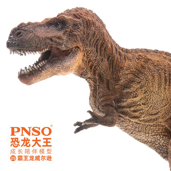 PNSO恐龙大王成长陪伴模型 25 霸王龙威尔逊 - - - 京东JD.COM