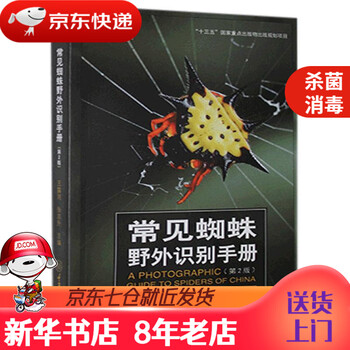【新华书店 正版书籍】常见蜘蛛野外识别手册（第2版）重庆大学出版社 正版图书绘本