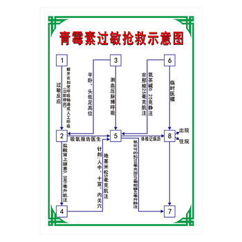 医院制度牌宣传画急救程序挂图药物过敏反应抢救流程图示意图贴画覆膜防水贴纸WSB169 WSB169-01 青霉素过敏抢救示意图 70*50厘米 覆膜防水PP贴纸