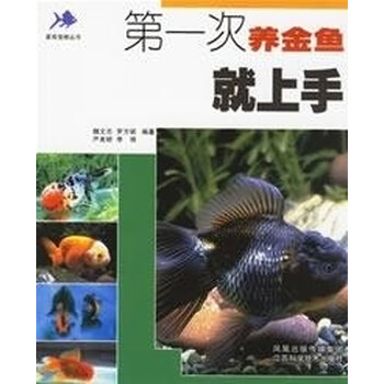 次养金鱼就上手 