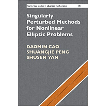 Singularly Perturbed Methods for Nonlinear Elliptic Problems 非线性椭圆问题：奇异摄动方法