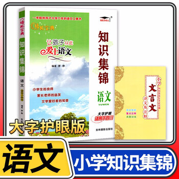 2022版小学语文知识集锦四川专版 小升初知识大集结培优宝典小学生四五六年级重点知识基础知识大全