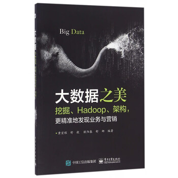大数据之美(挖掘Hadoop架构*精准地发现业务与营销)