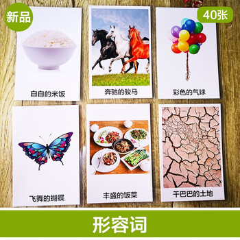 形容词卡片 自闭症训练卡片 孤独症儿童ABA教具 语言发育迟缓 5寸塑封（40张）