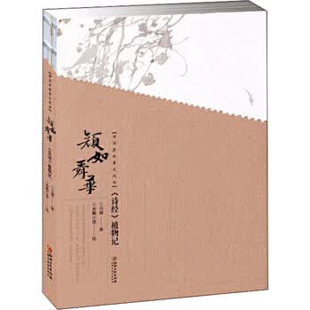 诗词里的草木风华 颜如舜华 《诗经》植物记