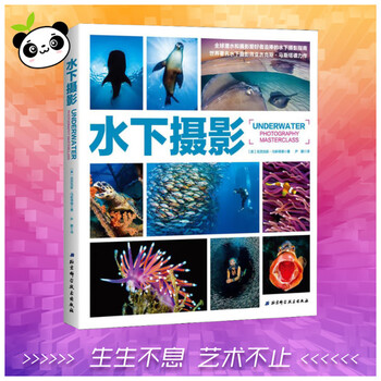水下摄影 (英)亚历克斯&middot;马斯塔德(Alex Mustard) 著 尹鹏 译 摄影艺术