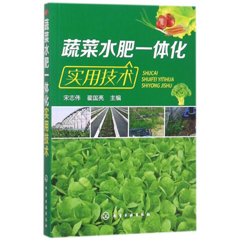 蔬菜水肥一体化实用技术