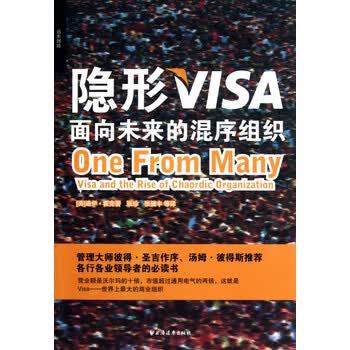 隐形VISA(面向未来的混序组织)