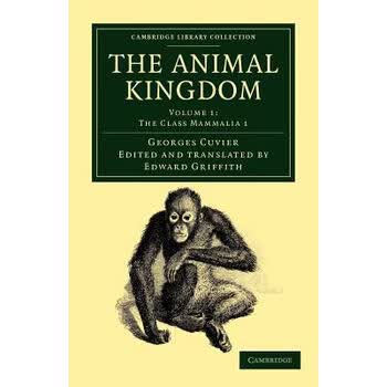 The Animal Kingdom - Volume 1