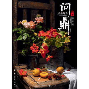 问鼎联考·色彩静物照片