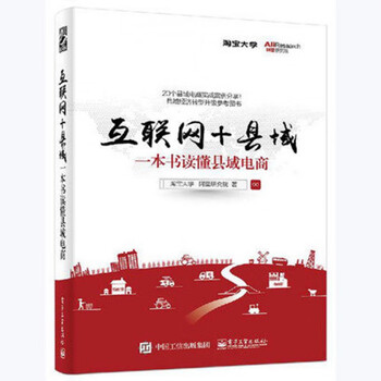 互联网+县域(一本书读懂县域电商)(精)