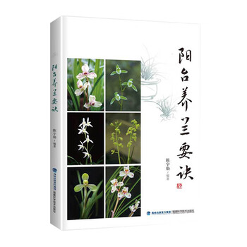 阳台养兰要诀