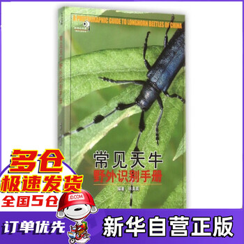 常见天牛野外识别手册/好奇心书系