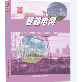 智能电网 无处不在的