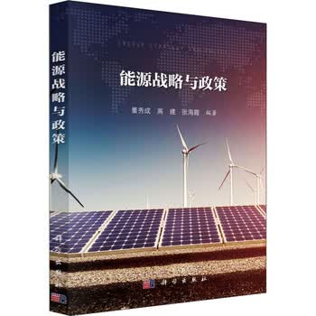 能源战略与政策