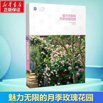 魅力无限的月季玫瑰花园/打造超人气花园