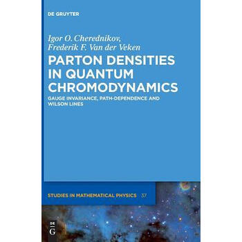 Parton Densities in Quantum Chromodynamics: Gaug