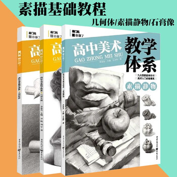 高中美术教学体系素描教程几何形体石膏像素描静物名师范画步骤解析零基础入门绘画技法书敲门砖系列 套装3本