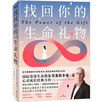 正版 加拿大现代长篇小说：找回你的生命礼物9787541156786