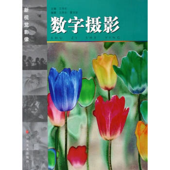 数字摄影 摄影 王传东，夏洪波编著 山东美术出版社 9787533020132