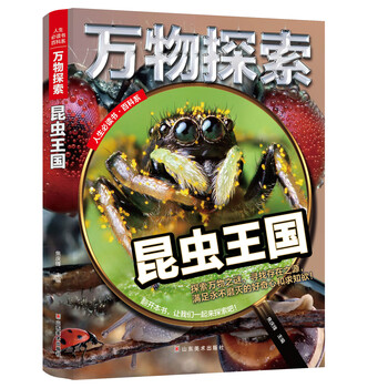 万物探索：昆虫王国（精装）山东美术出版社焦庆锋编青少版科普类中小8~16岁课外书籍 人生书百科系少