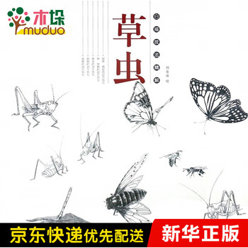白描技法精解.草虫