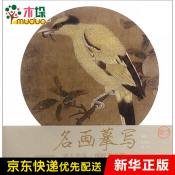 宋人花鸟(榴枝黄鸟图)/名画摹写