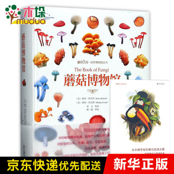 蘑菇博物馆+古尔德手绘巨嘴鸟高清大图