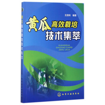 黄瓜高效栽培技术集萃