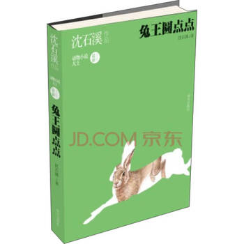 沈石溪作品--兔王圆点点 沈石溪 著 9787533284718