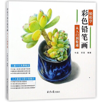 轻松学彩色铅笔画(附光盘从入门到精通)