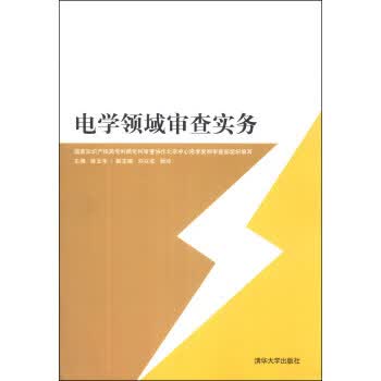 电学领域审查实务 【正版图书，放心购买】