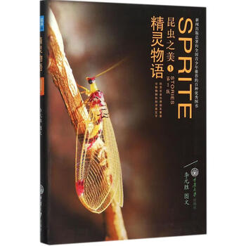 昆虫之美 李元胜 图文 生物科学