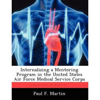 Internalizing a Mentoring Program in the United