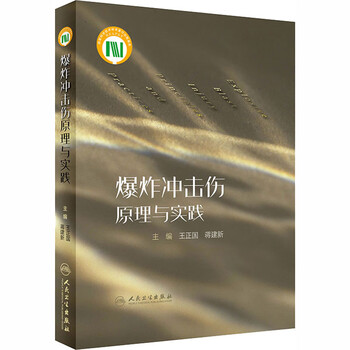 爆炸冲击伤原理与实践(配增值)