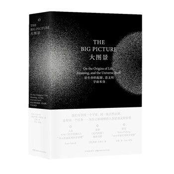 大图景(论生命的起源意义和宇宙本身)