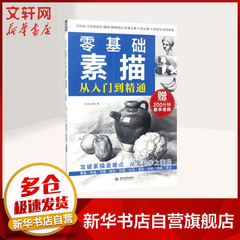 零基础素描从入门到精通