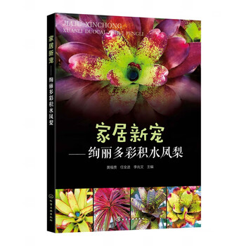 家居新宠——绚丽多彩积水凤梨
