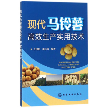 现代马铃薯高效生产实用技术