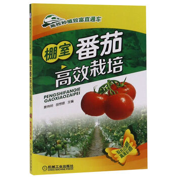 棚室番茄高效栽培