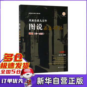 风雨沧桑九百年图说西安碑林(碑石秦-盛唐珍藏版)