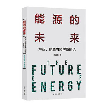 能源的未来：产业、能源与经济协同论 社会科学 顾为东著 译林出版社 9787544779821