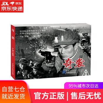 【正版图书】奇袭 严锴 中国民主法制出版社