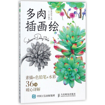 多肉插画绘(素描+色铅笔+水彩36例暖心详解)