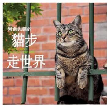 #现货正版 岩合光昭的貓步走世界 16 大石國際 岩合光昭 從貓咪的角度，在世界各地的街道漫步