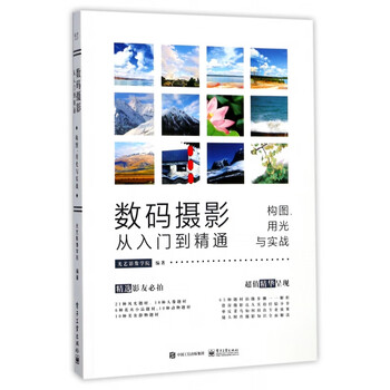 数码摄影从入门到精通(构图用光与实战)